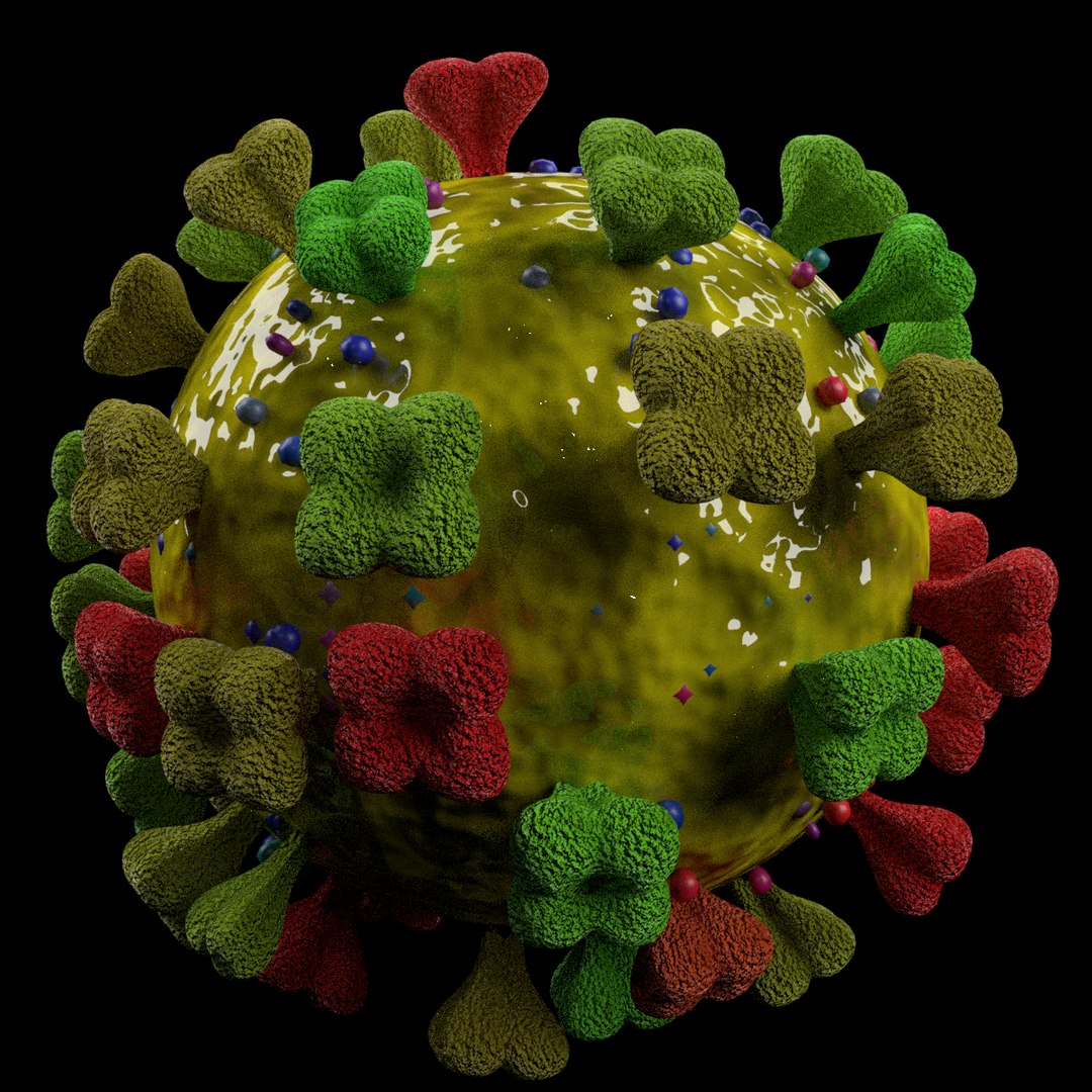 3D corona virus cut section model - TurboSquid 1564831
