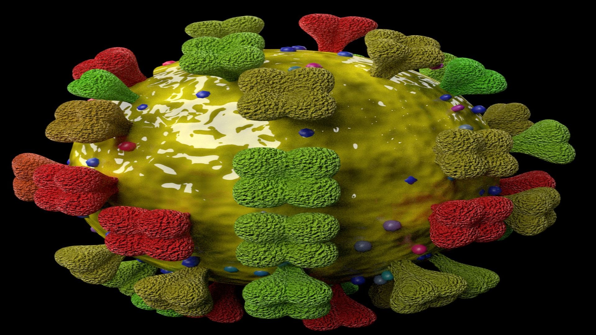 3D corona virus cut section model - TurboSquid 1564831
