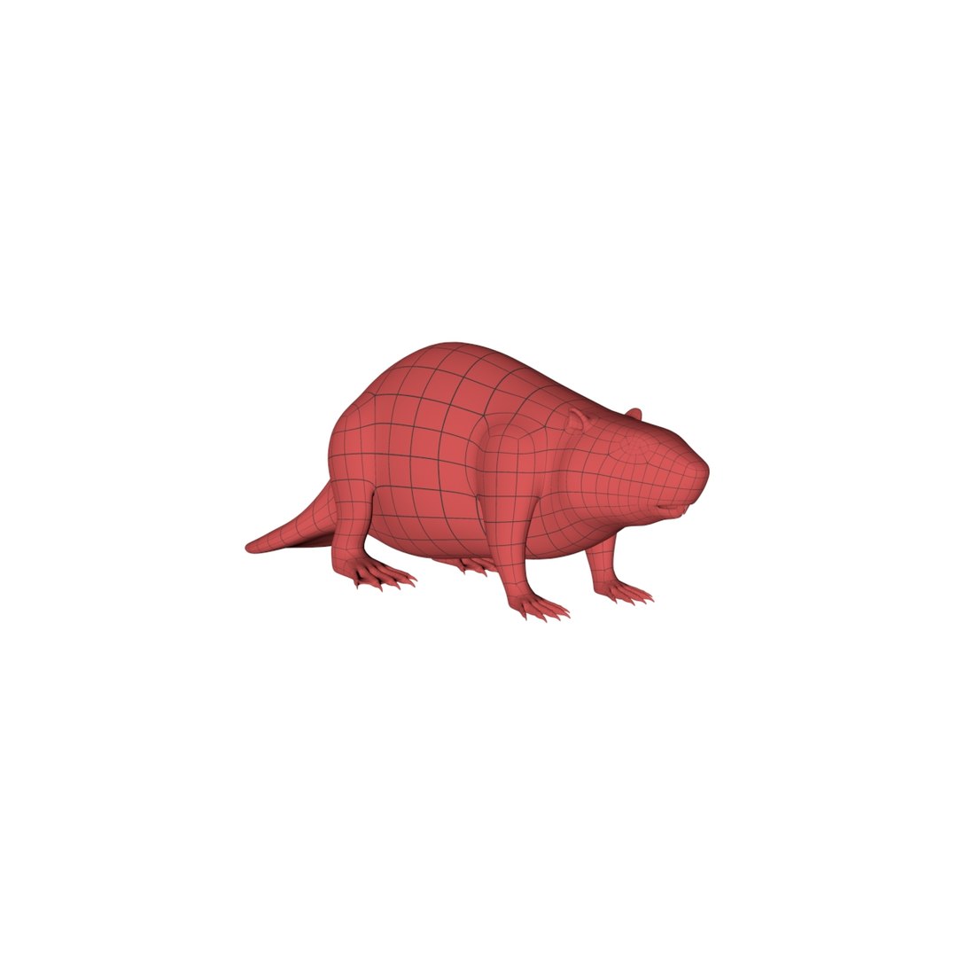 3d Base Mesh Beaver