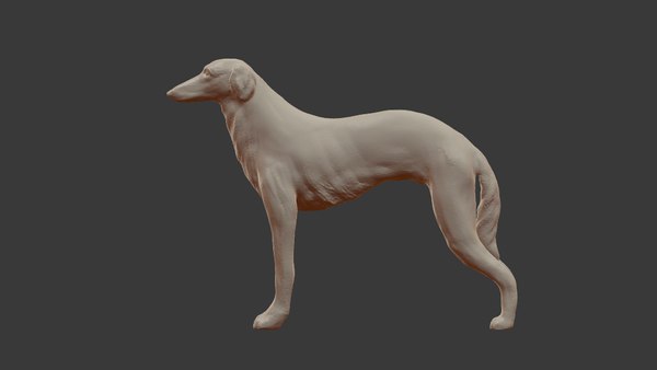 3D hound - TurboSquid 1173344