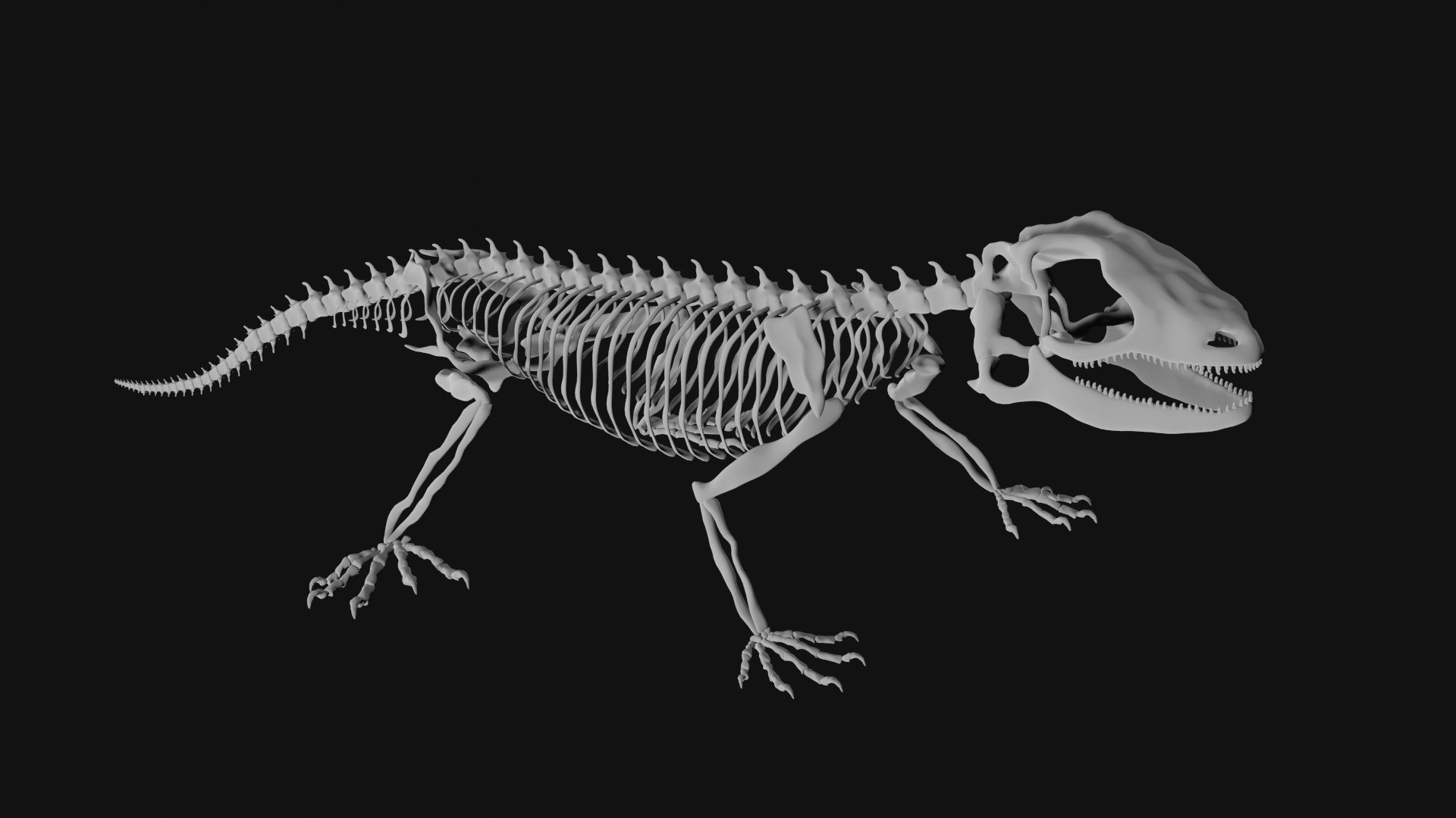 3D Lizard Skeleton Model - TurboSquid 1983376