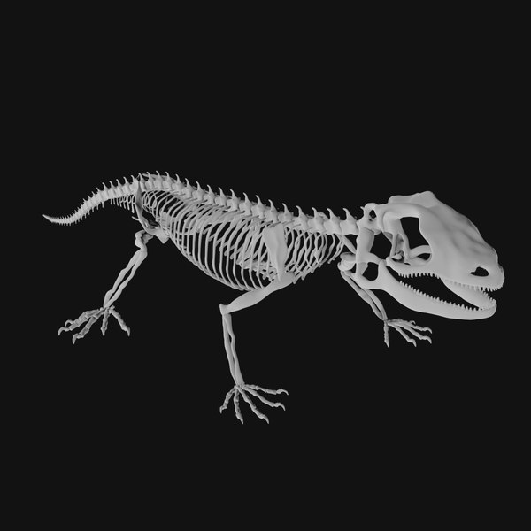 modelo 3d Lizard Skeleton - TurboSquid 1983376