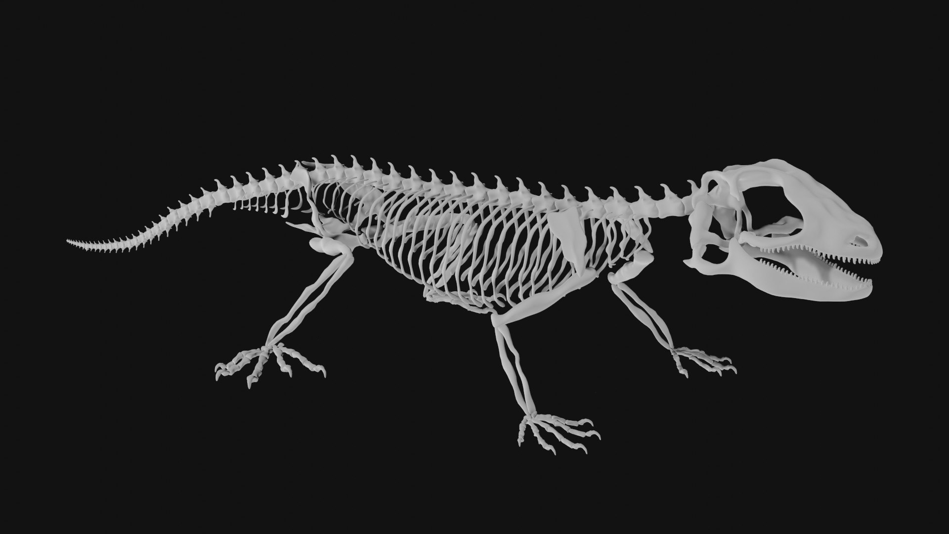 3D Lizard Skeleton Model - TurboSquid 1983376