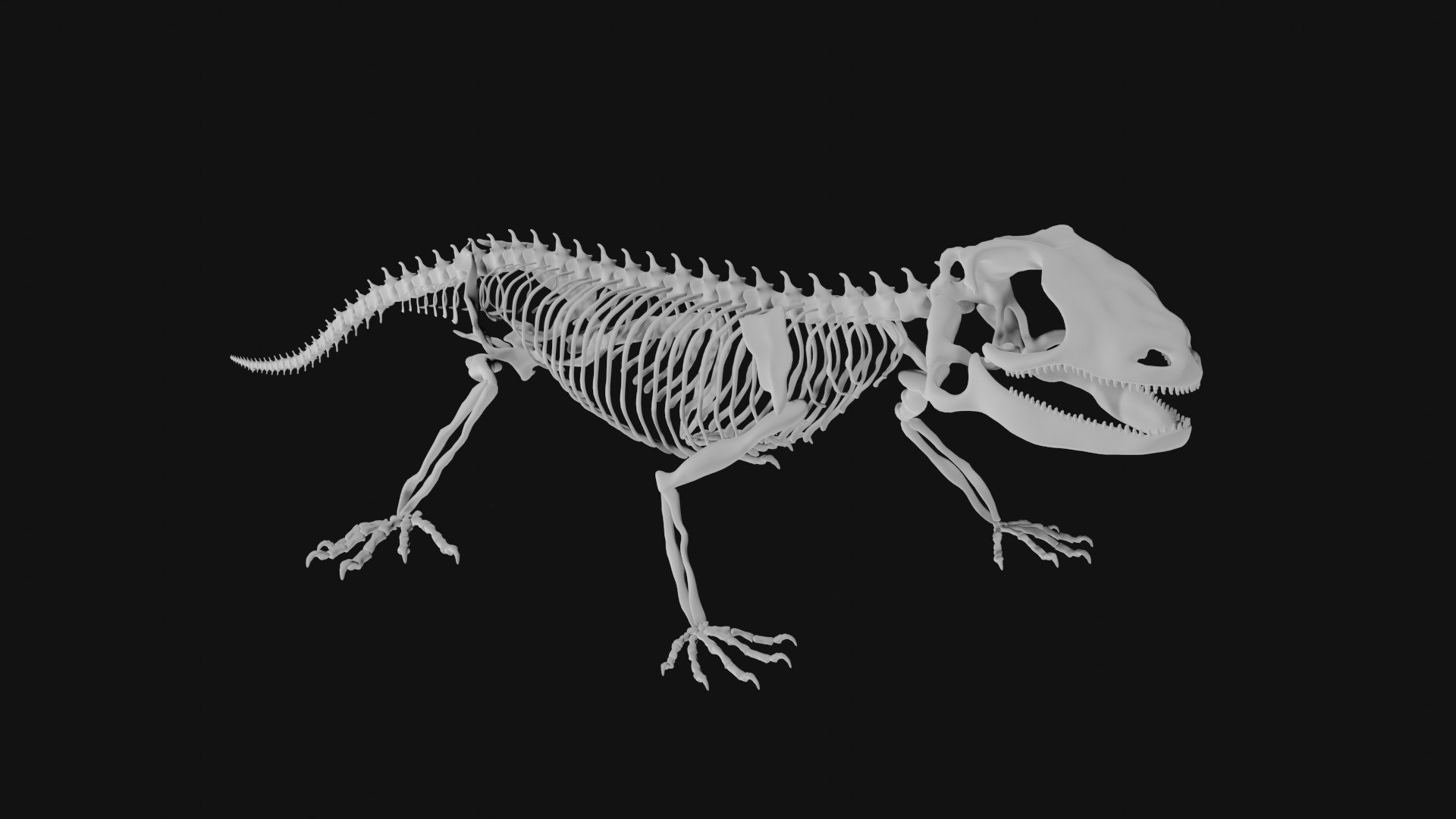 3D Lizard Skeleton Model - TurboSquid 1983376