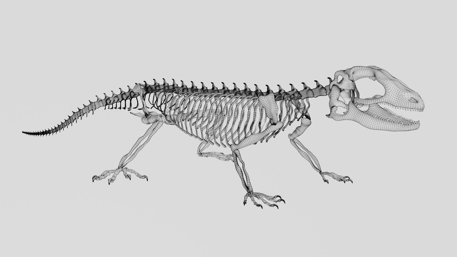 3D Lizard Skeleton Model - TurboSquid 1983376