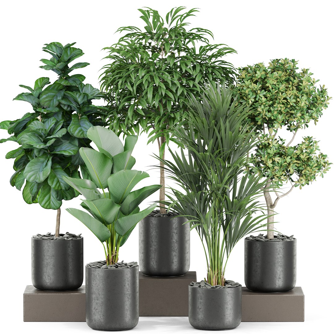 3D Plants Model - TurboSquid 1701036