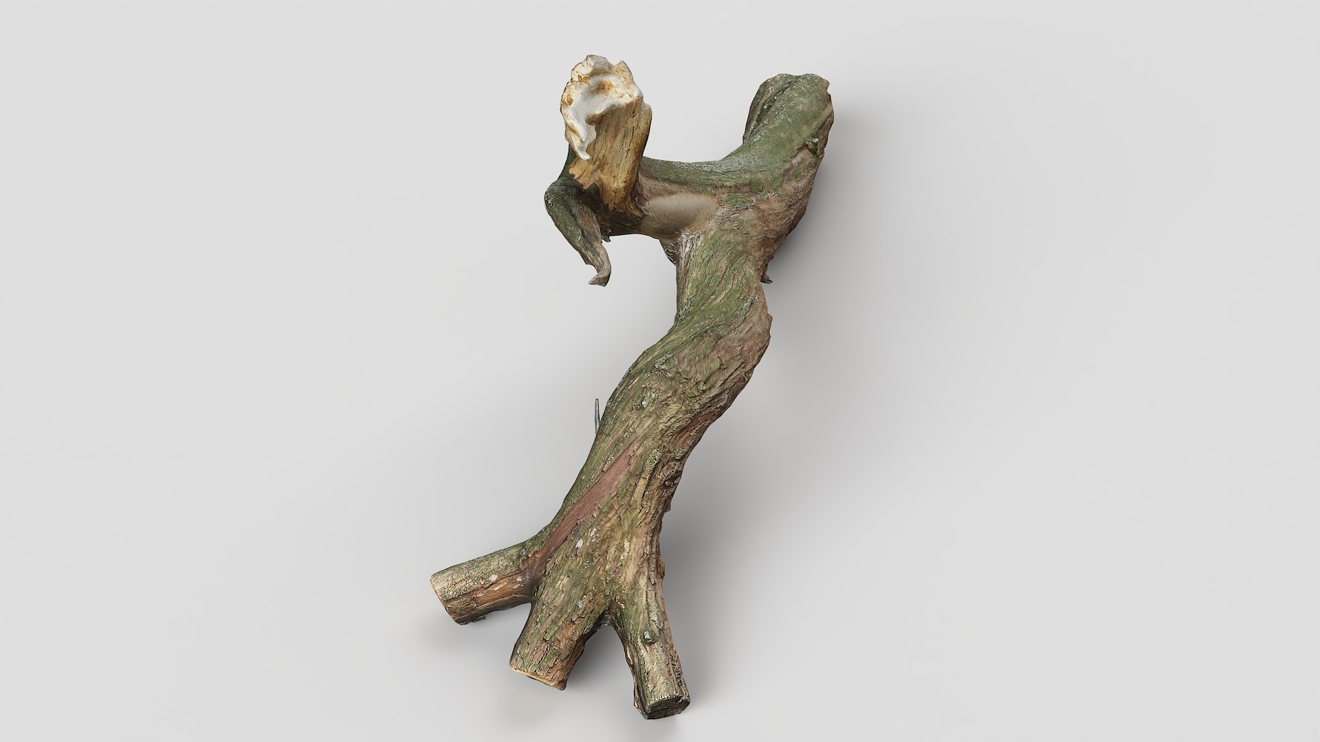 3D Branch 01 Model - TurboSquid 2135619