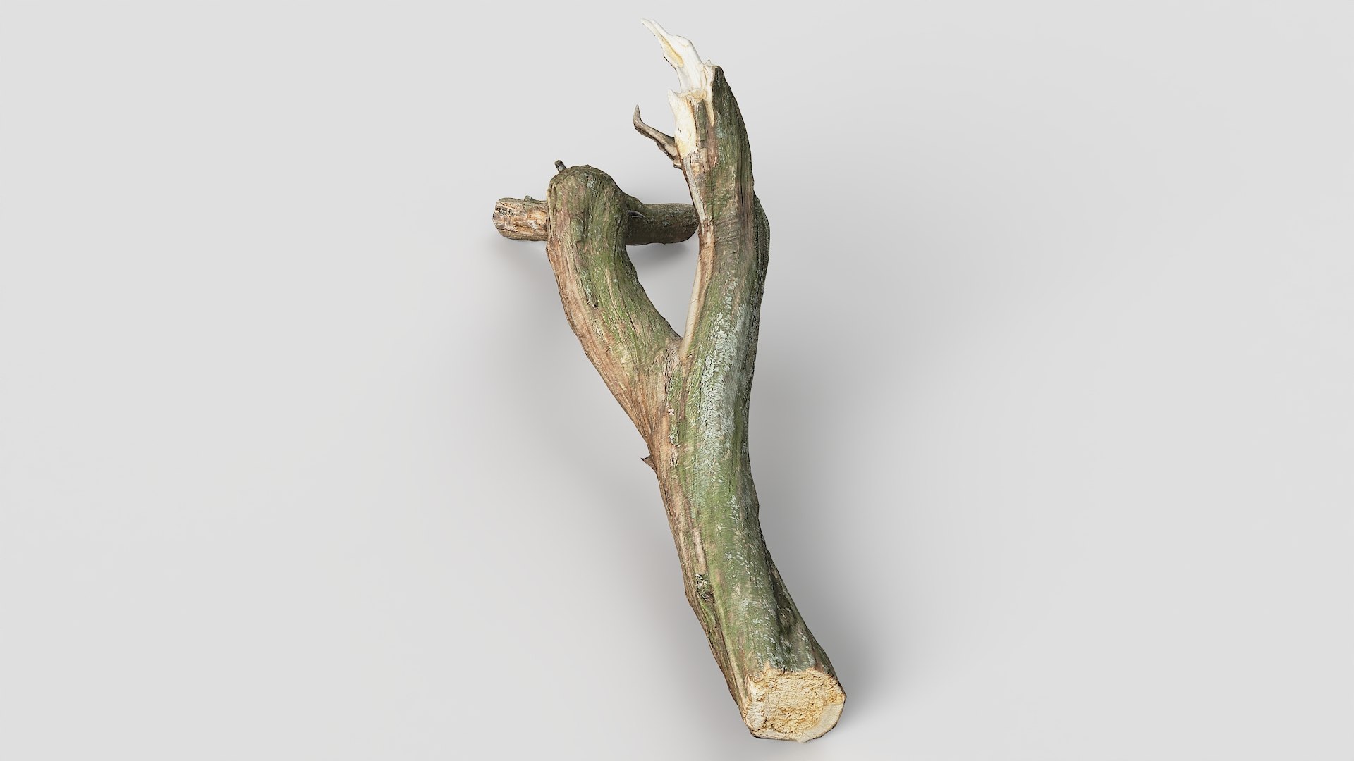 3D Branch 01 Model - TurboSquid 2135619