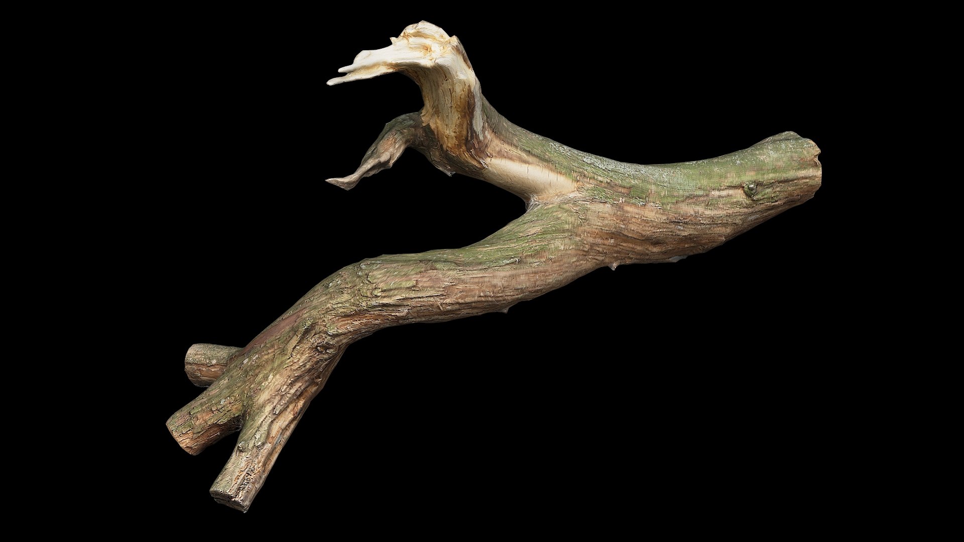 3D Branch 01 Model - TurboSquid 2135619
