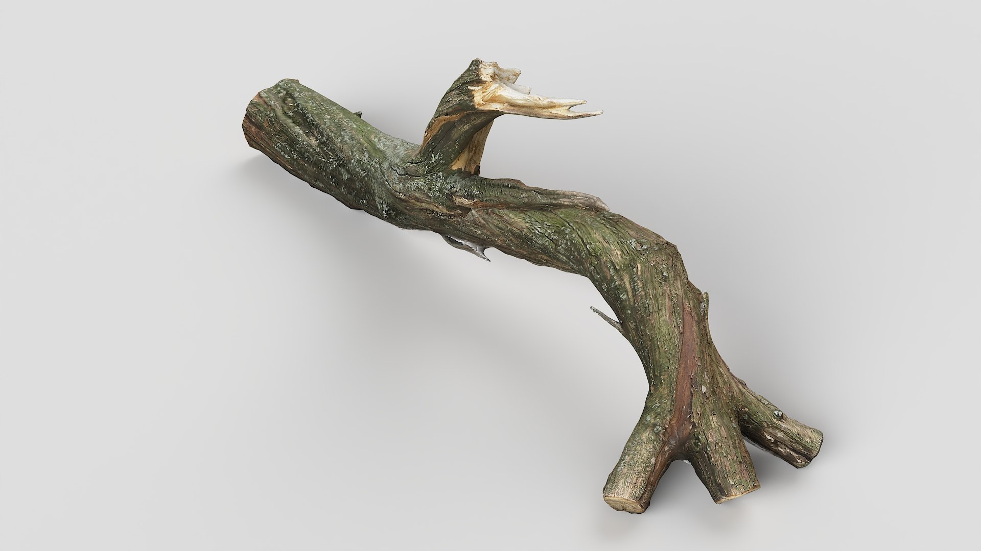 3D Branch 01 Model - TurboSquid 2135619