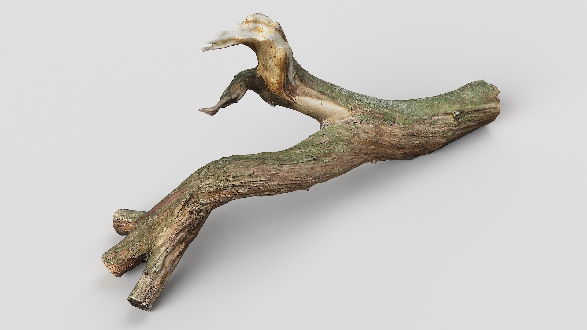 3D Branch 01 Model - TurboSquid 2135619