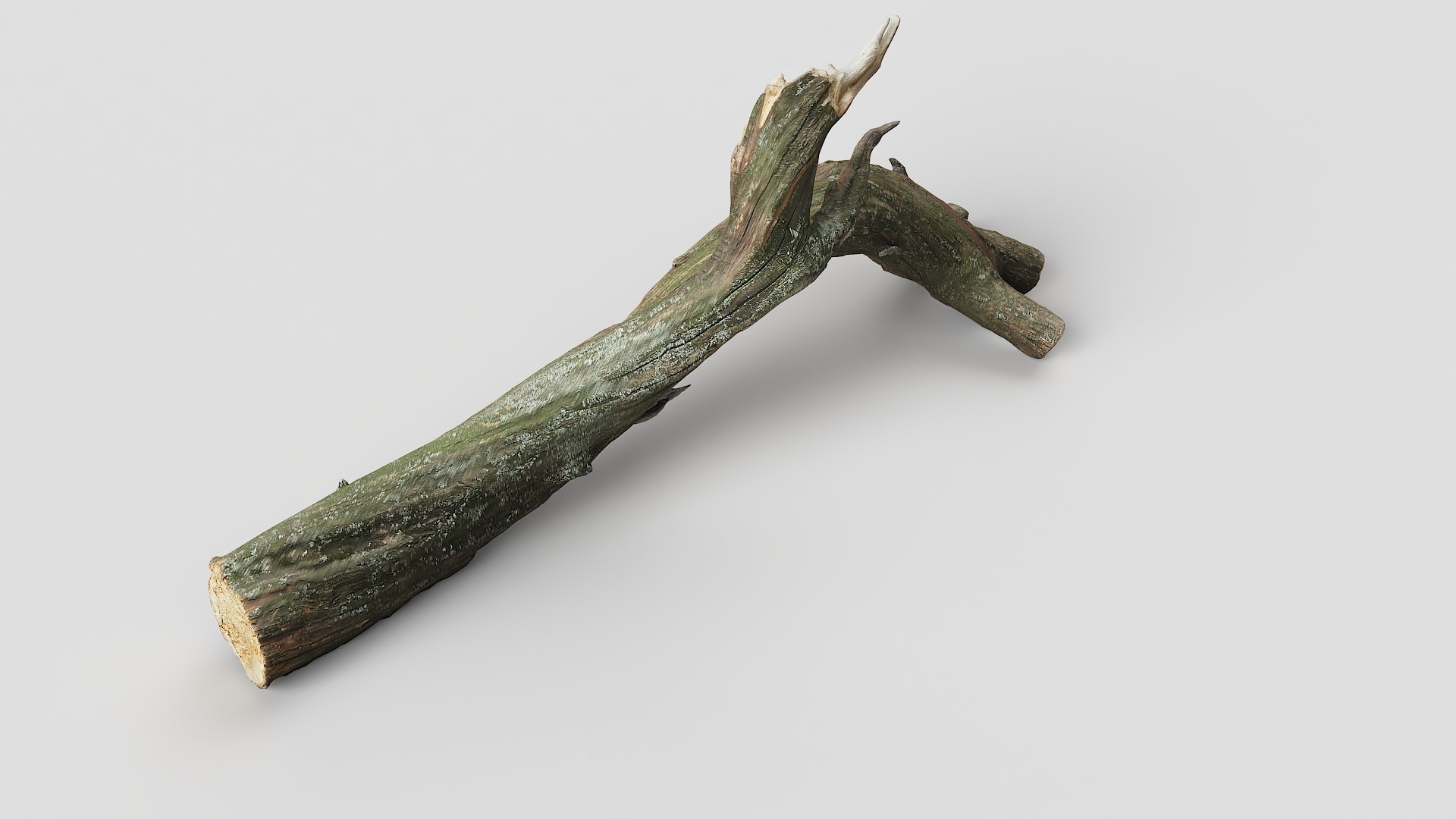 3D Branch 01 Model - TurboSquid 2135619