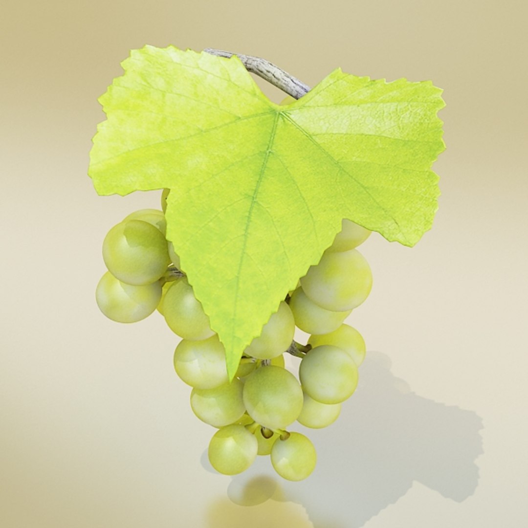 3d grapes model