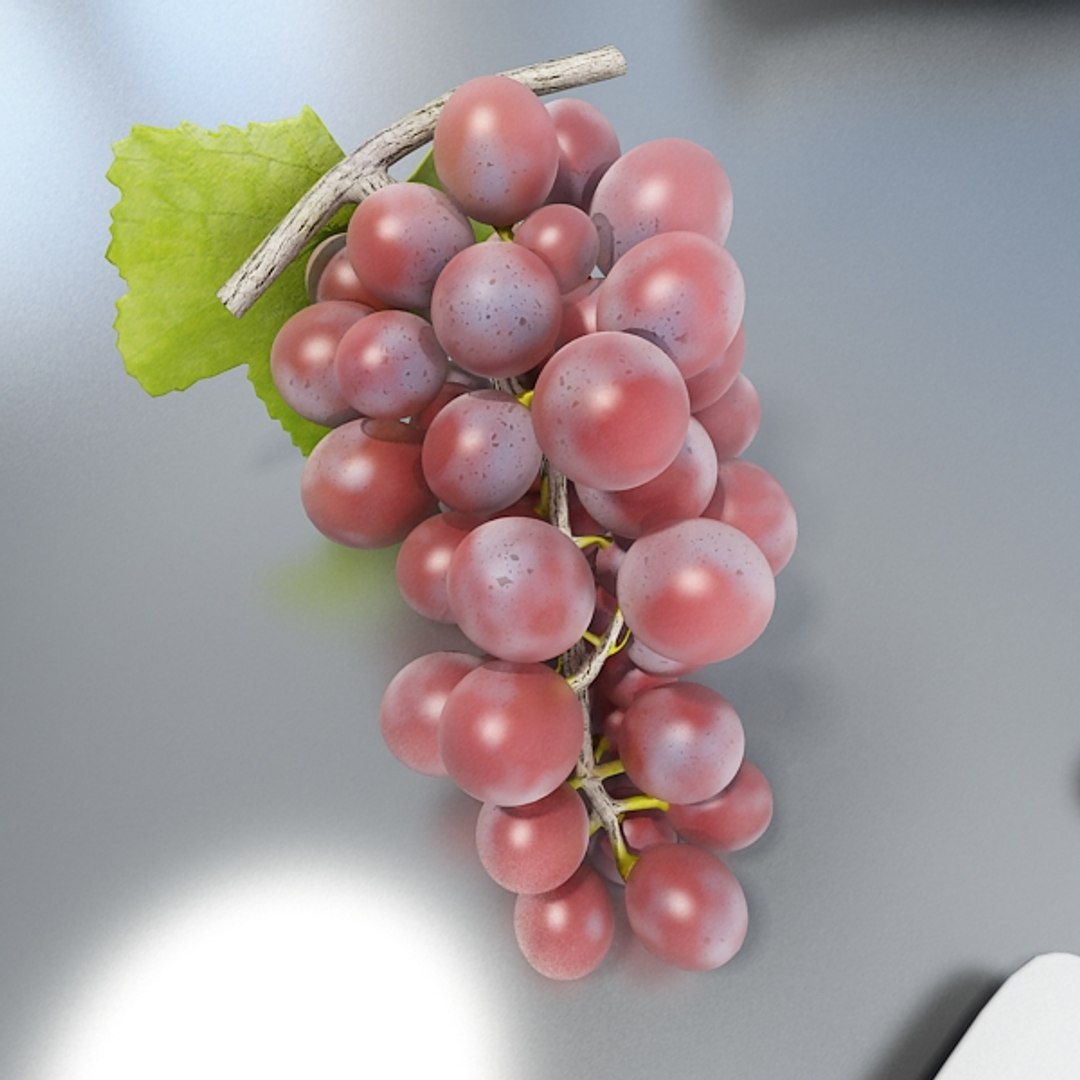 3d grapes model