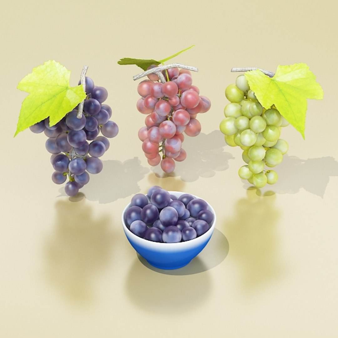 3d grapes model