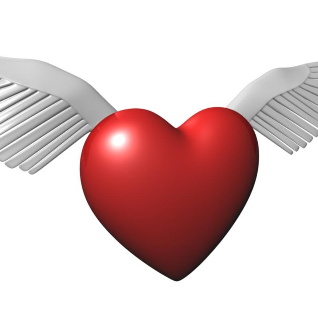 Winged Heart 3ds