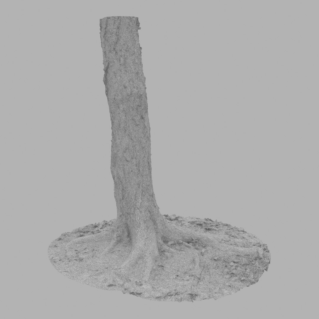 Tree Trunk 3D Model - TurboSquid 1365214