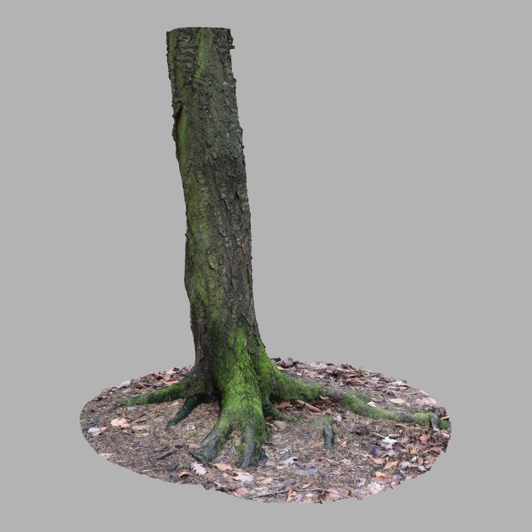 Tree Trunk 3D Model - TurboSquid 1365214