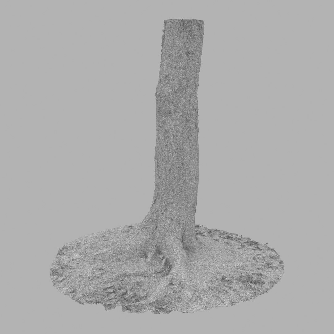 Tree Trunk 3D Model - TurboSquid 1365214
