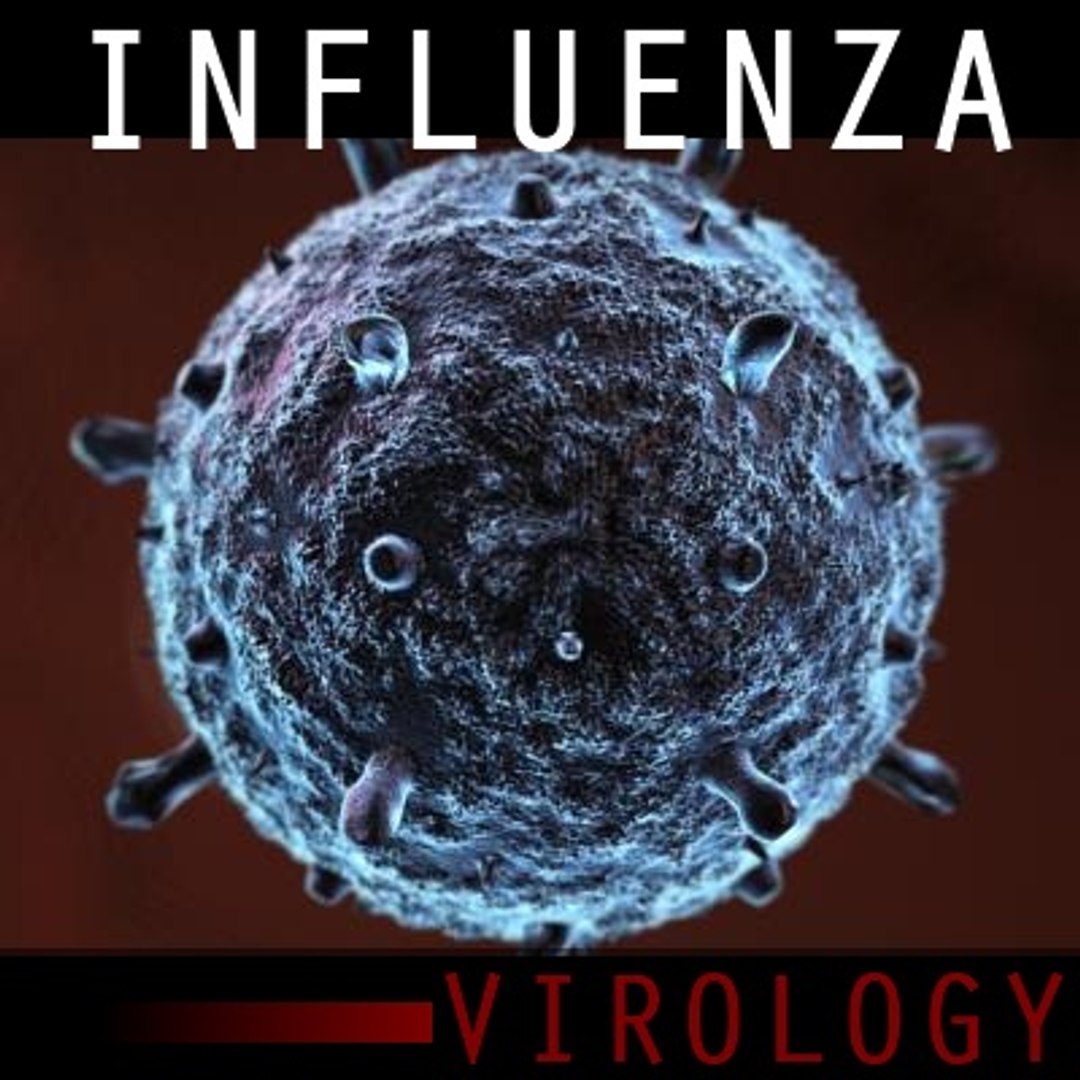 3d Model Influenza Virus
