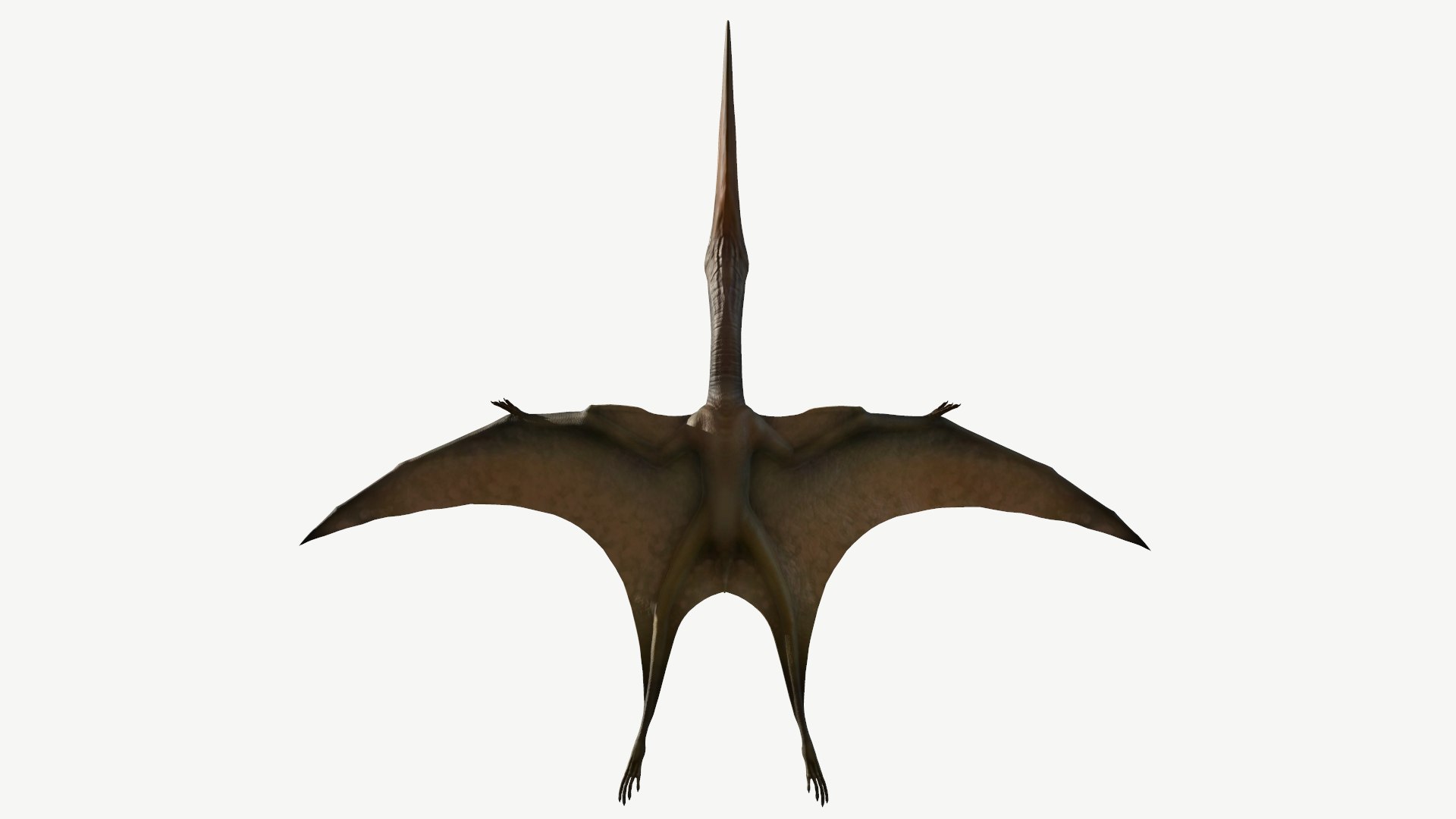 Pteranodon 3D Model - TurboSquid 1366491