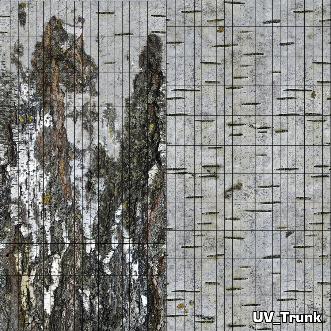 3D birch 5 tree - TurboSquid 1458940