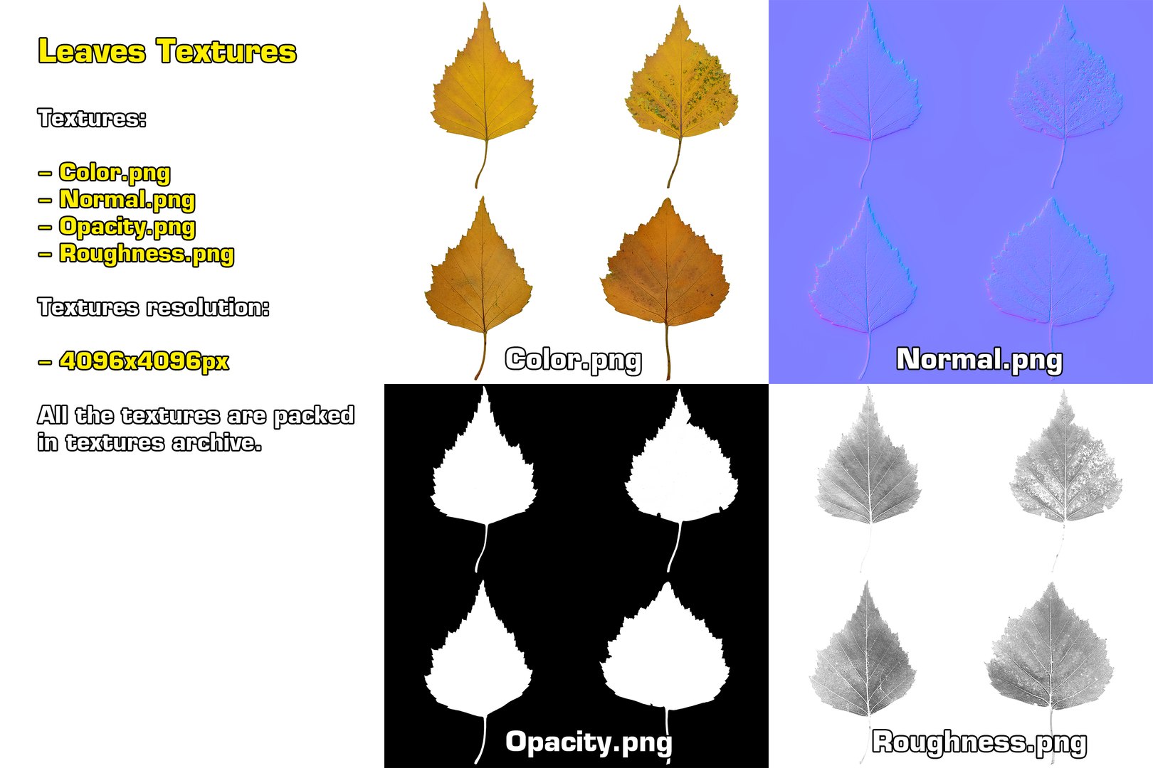 3D Birch 5 Tree - TurboSquid 1458940