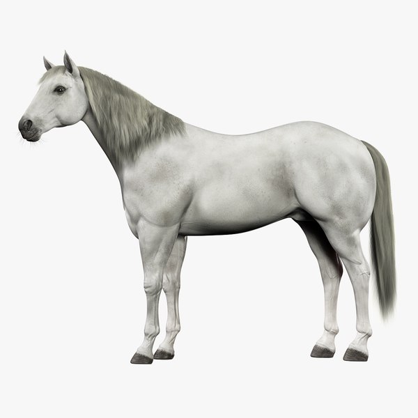 german shepherd 3d model