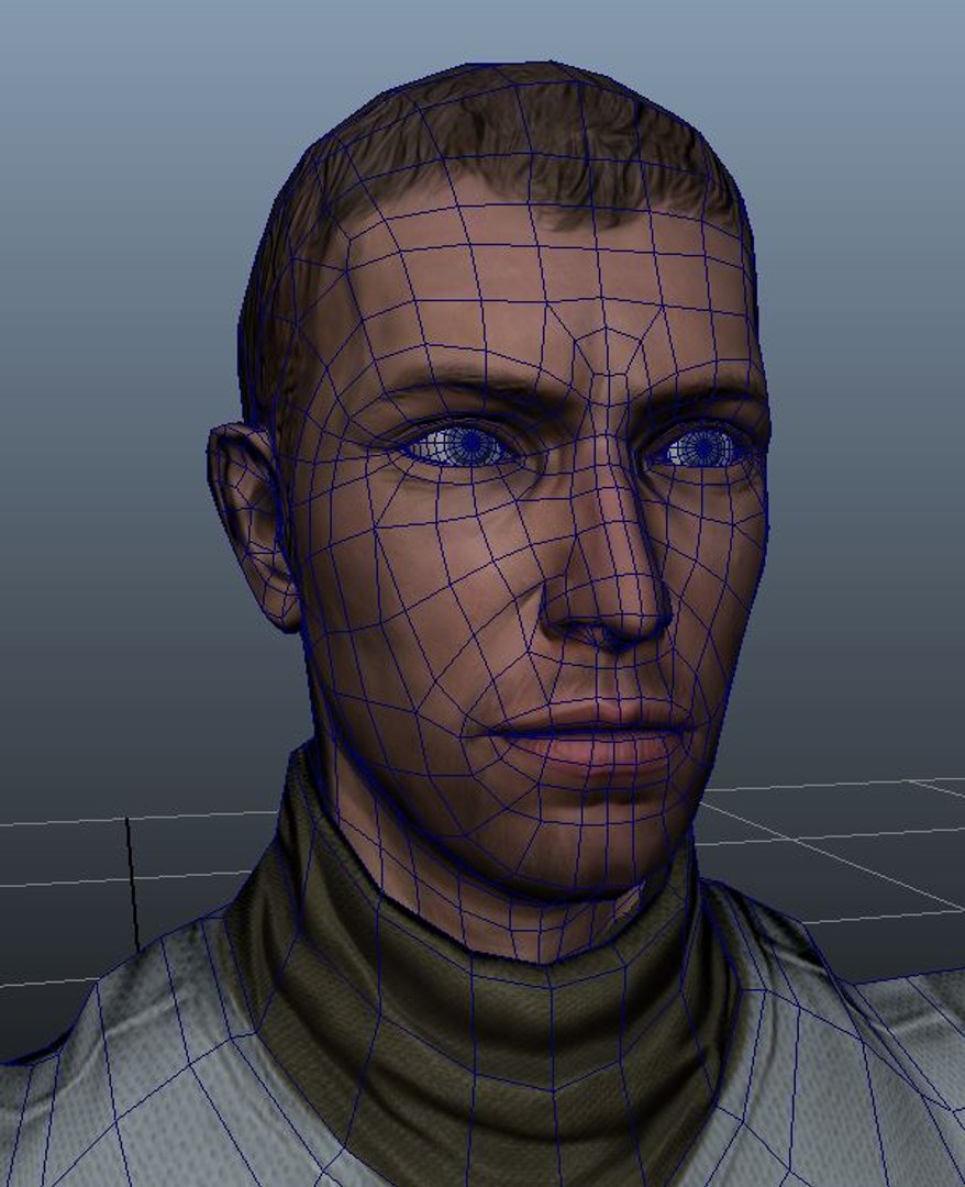 3d Model Of Basic Human Rig Ready