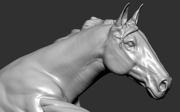 3D model Horse Running - TurboSquid 1842013
