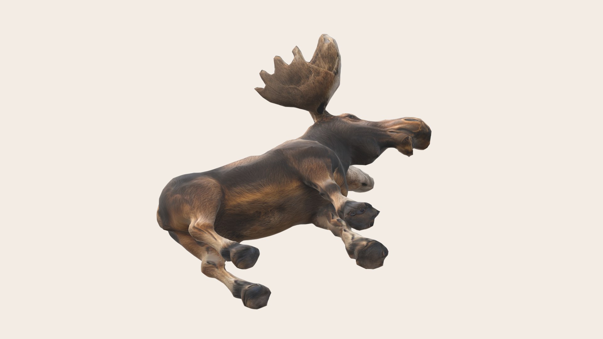 3D Moose Model - TurboSquid 2231903