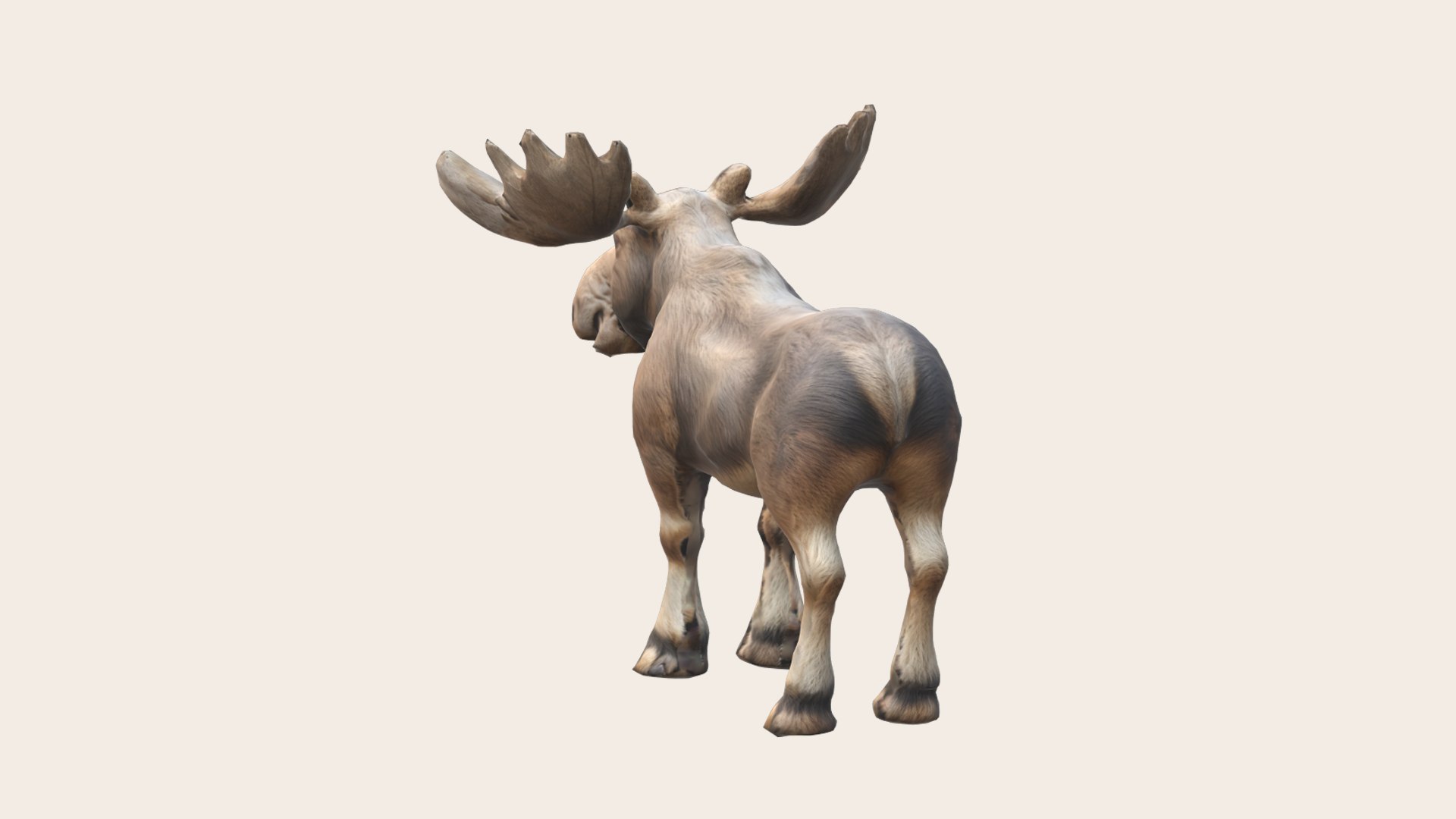 3D Moose Model - TurboSquid 2231903