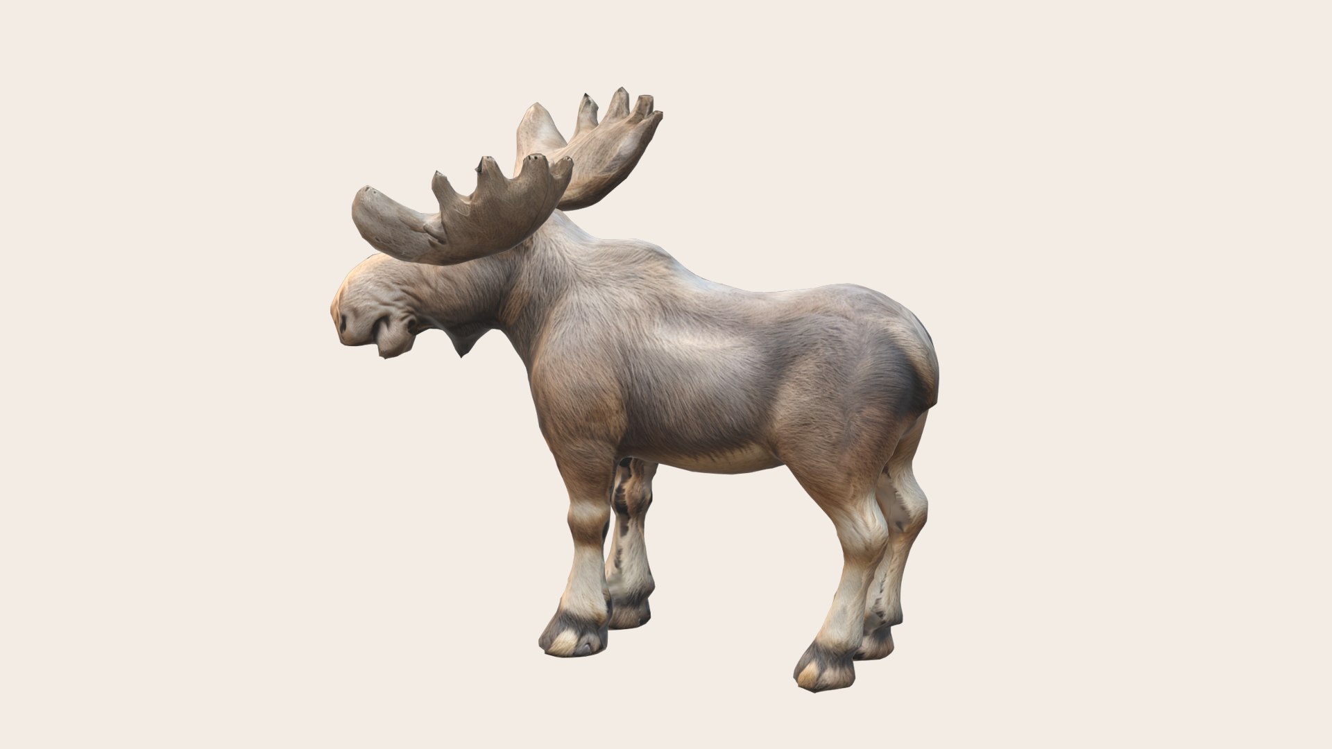 3D Moose Model - TurboSquid 2231903