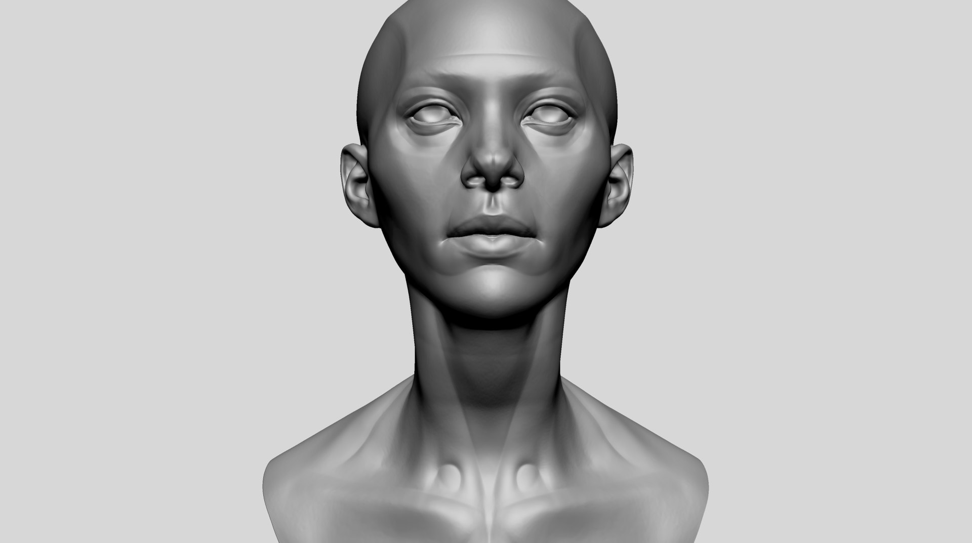 Female Head Anatomy 3D Model - TurboSquid 2207642
