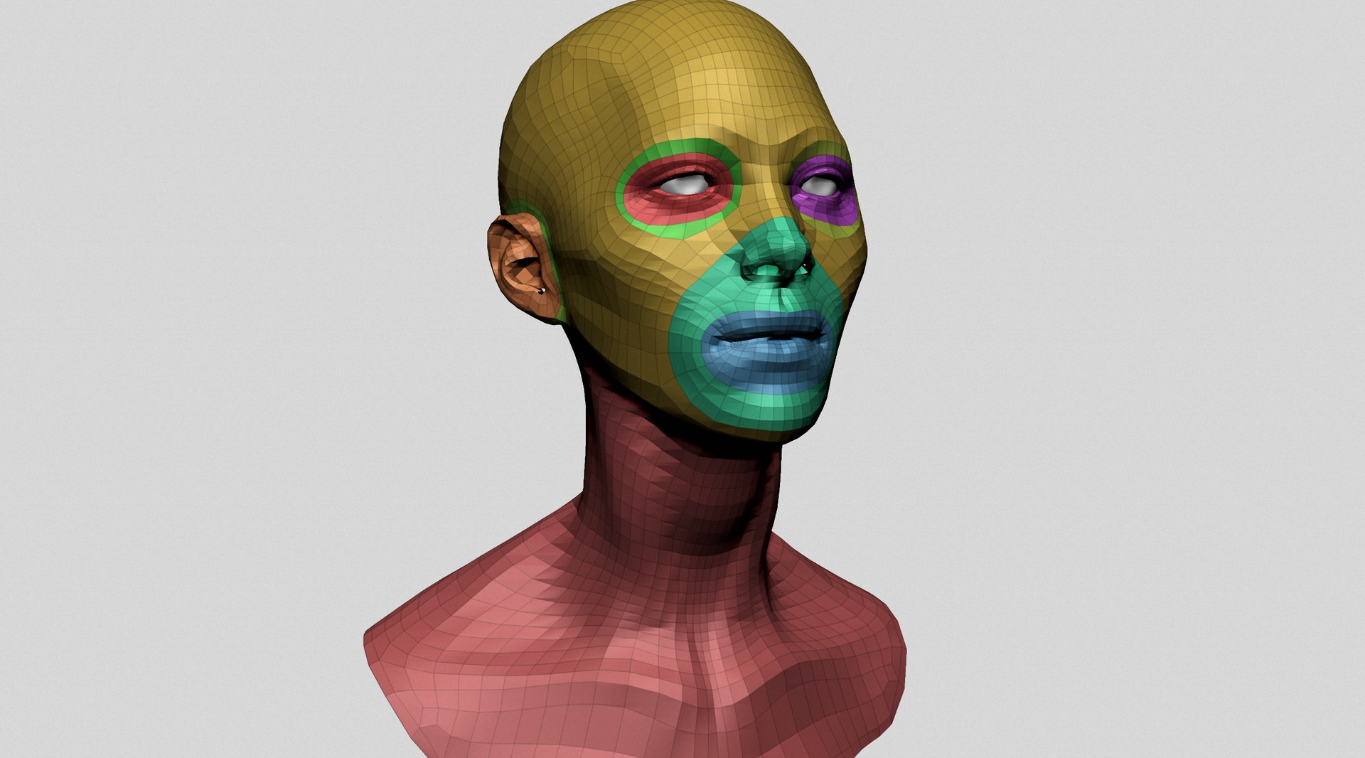 Female Head Anatomy 3d Model Turbosquid 2207642