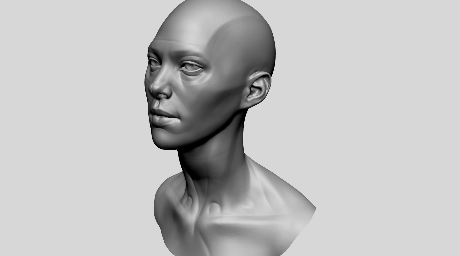 Female Head Anatomy 3D Model - TurboSquid 2207642