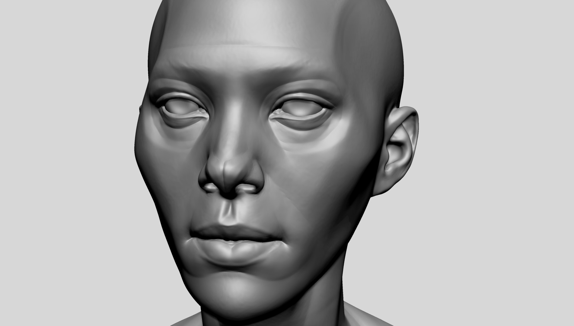 Female Head Anatomy 3D Model - TurboSquid 2207642