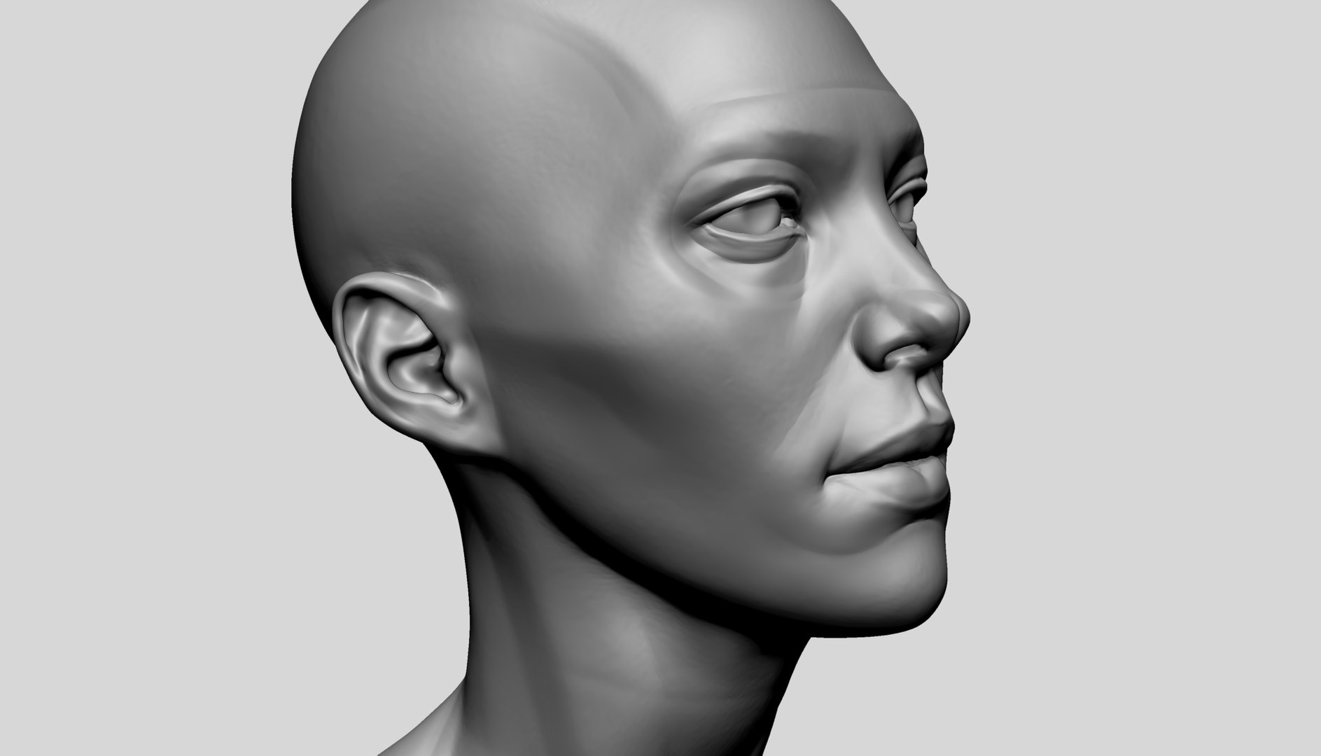 Female Head Anatomy 3D Model - TurboSquid 2207642