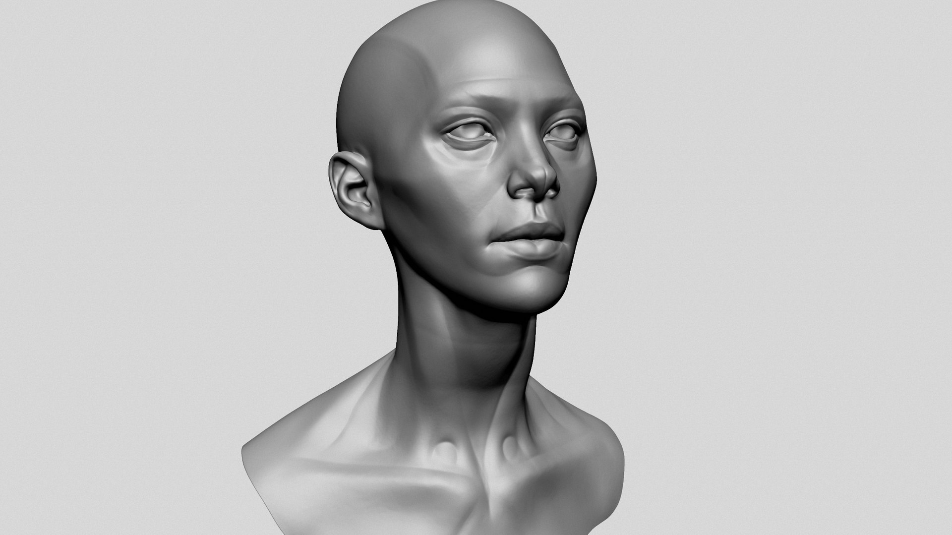 Female Head Anatomy 3D Model - TurboSquid 2207642