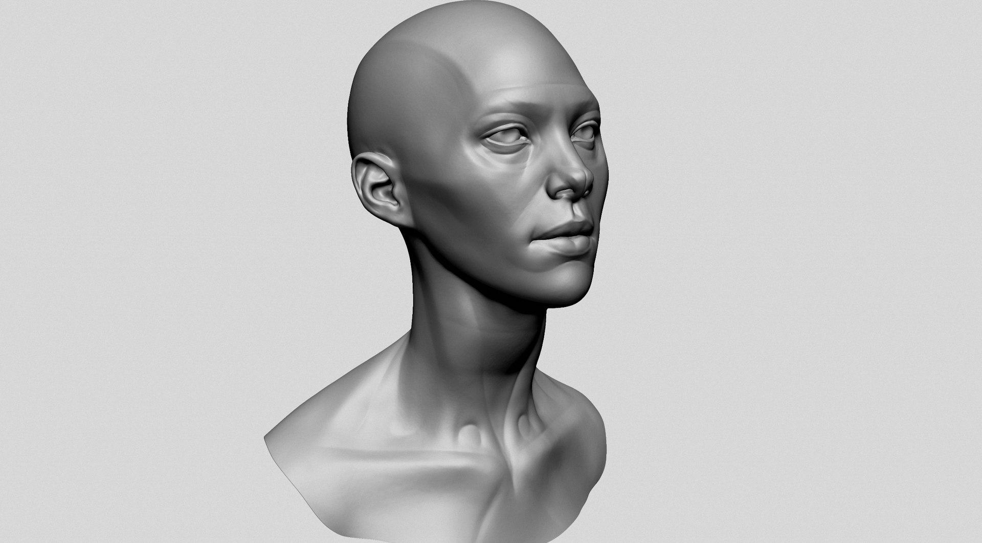 Female Head Anatomy 3D Model - TurboSquid 2207642