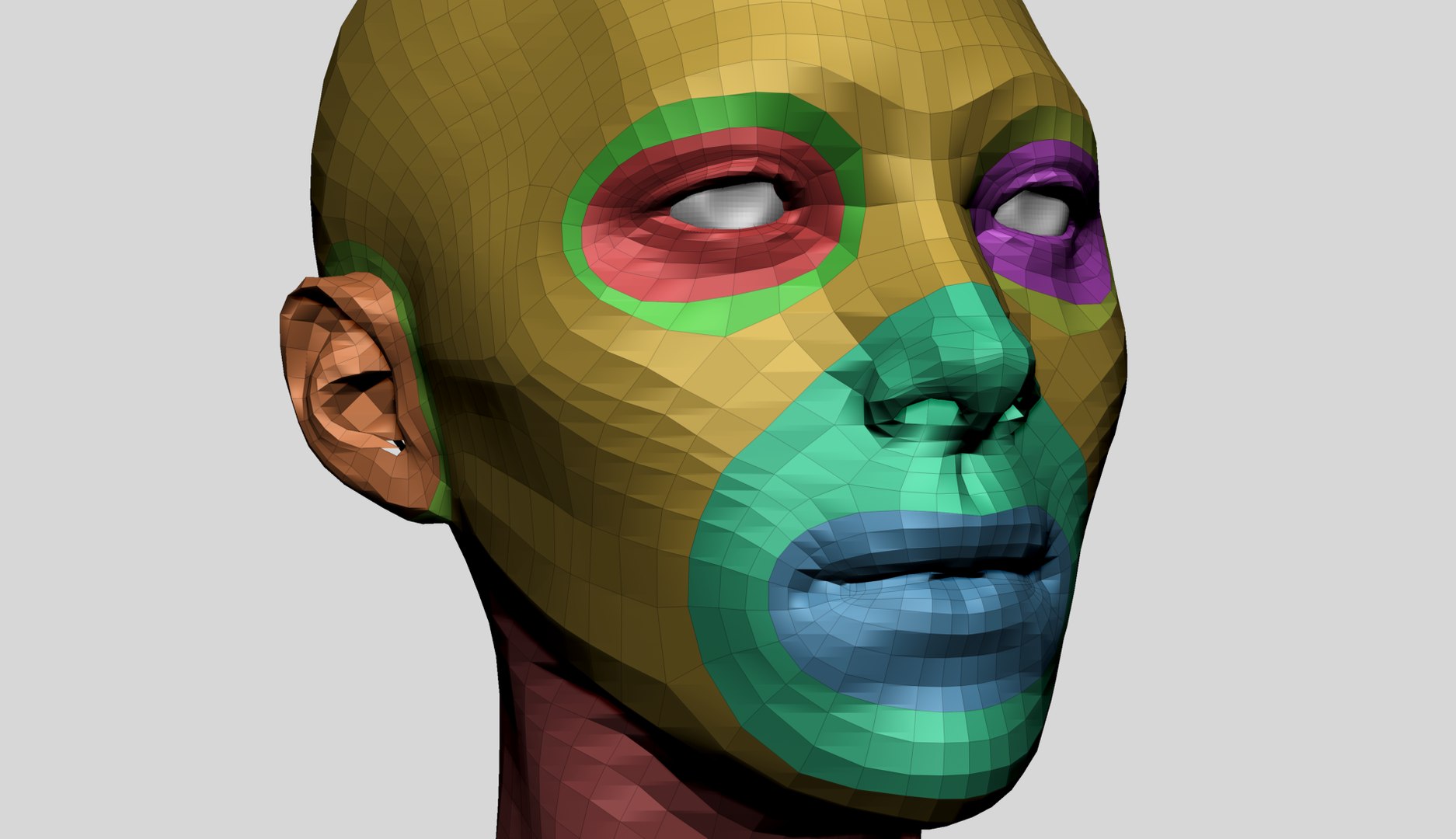 Female Head Anatomy 3D Model - TurboSquid 2207642