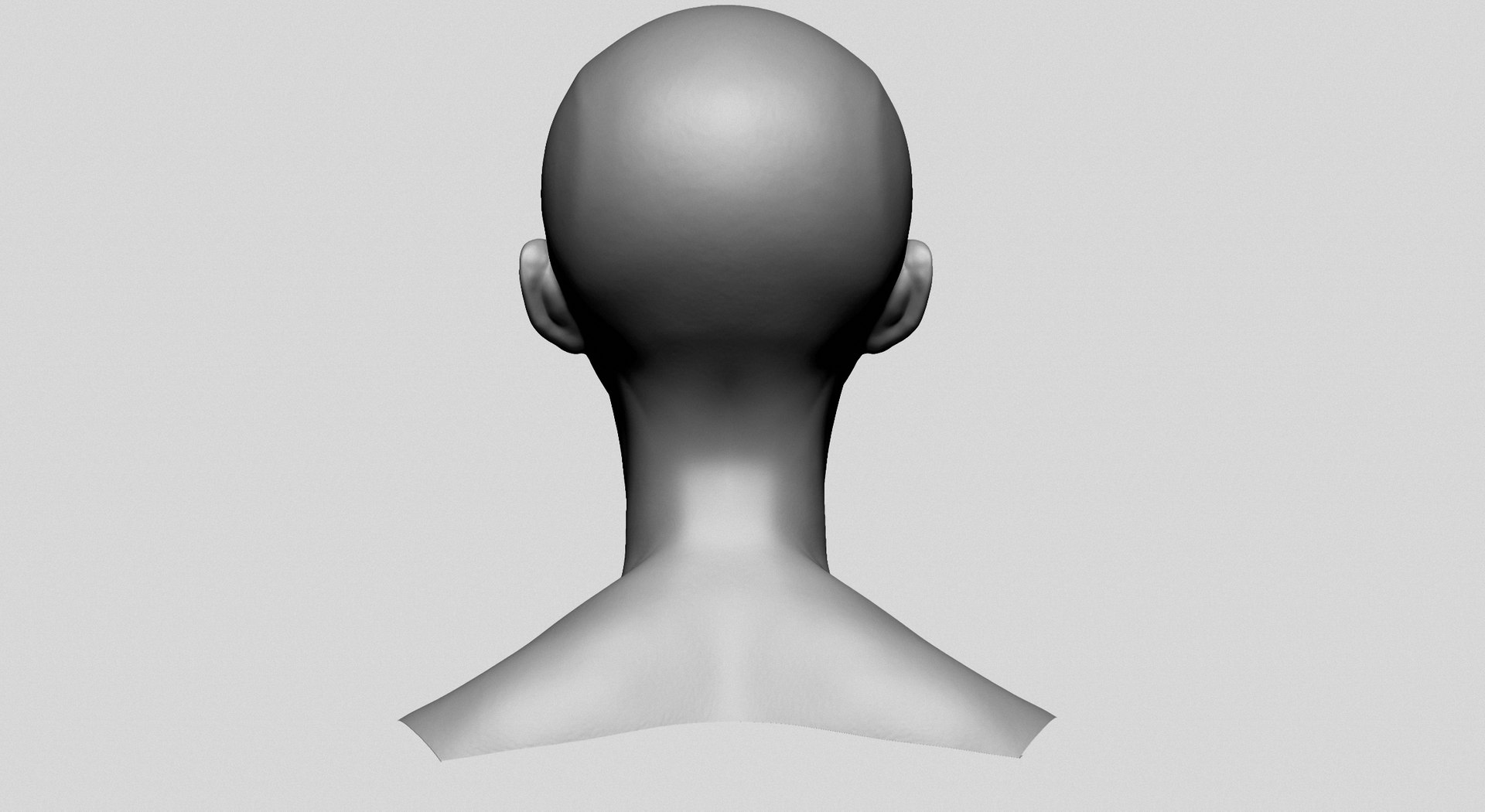 Female Head Anatomy 3D Model - TurboSquid 2207642
