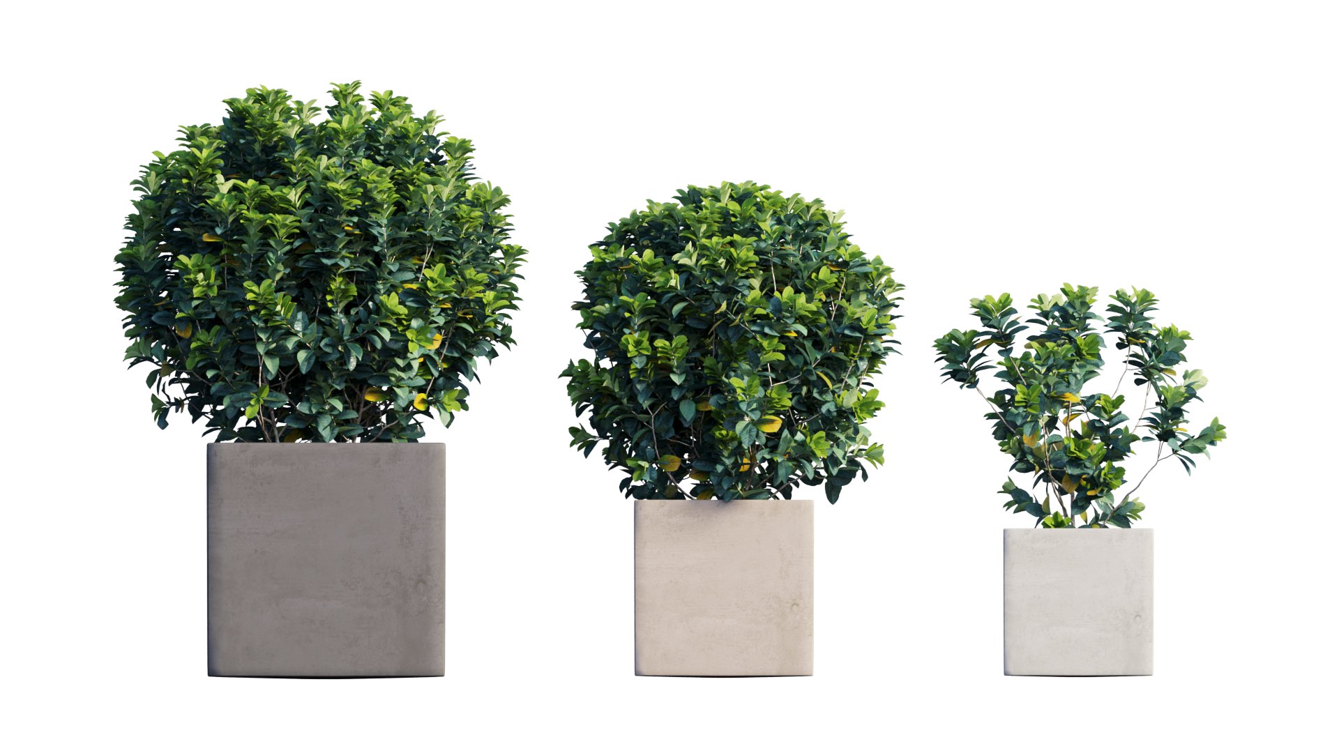 Gardenia Planter 01 Model - TurboSquid 2215724