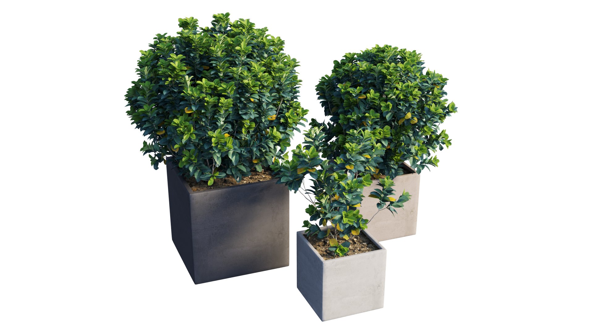 Gardenia Planter 01 Model - TurboSquid 2215724
