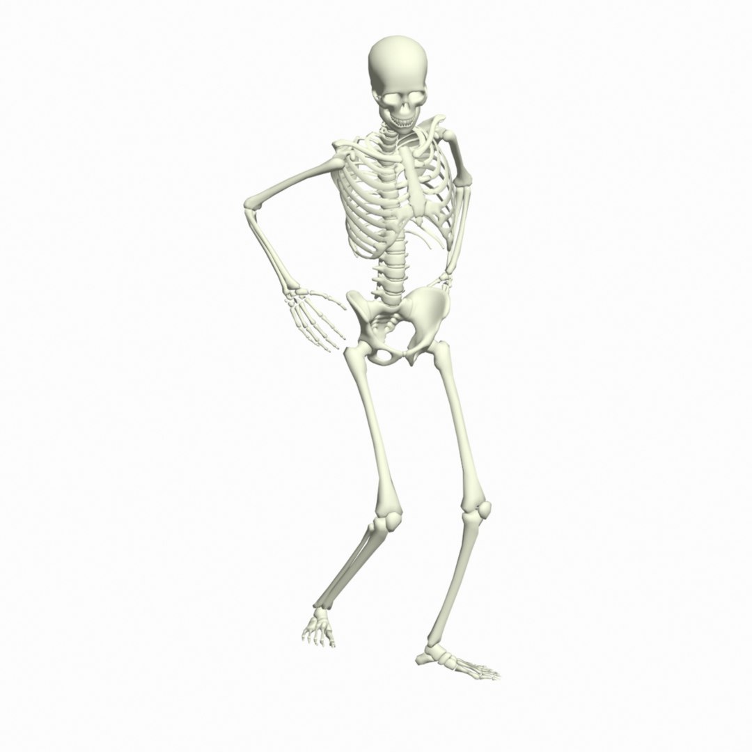 Skeleton Regged 3D Animation - Angry scenario 3D model - TurboSquid 1884342