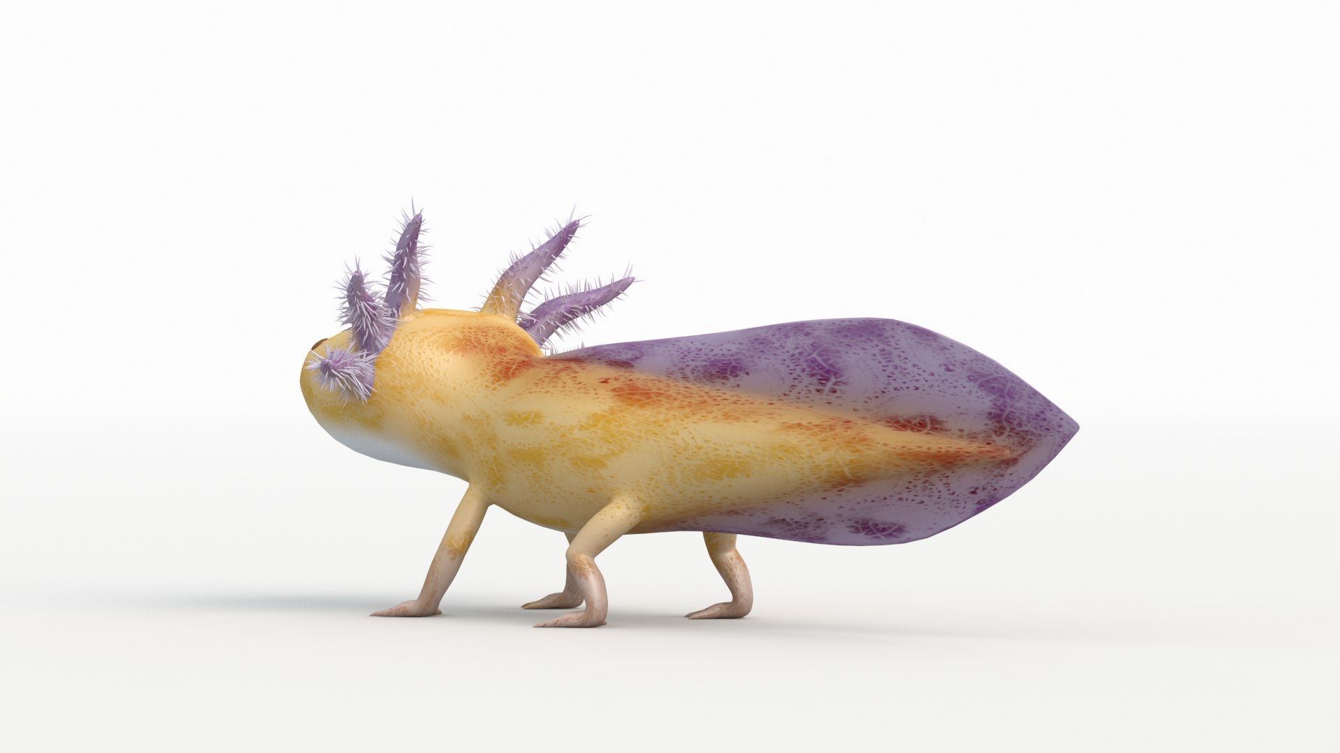 Axolotl Model - TurboSquid 1875255