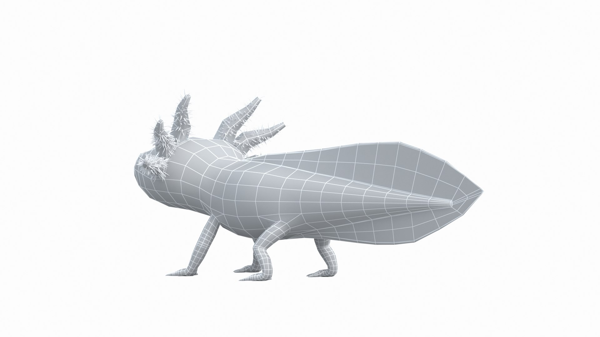 Axolotl Model - TurboSquid 1875255