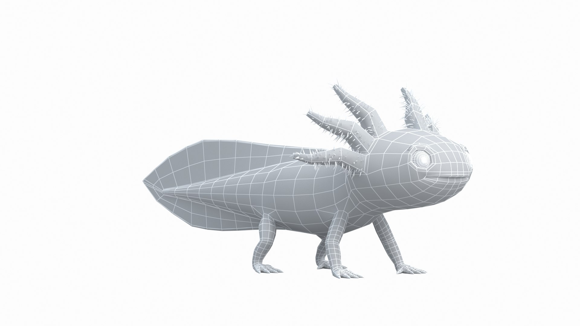 Axolotl Model - TurboSquid 1875255