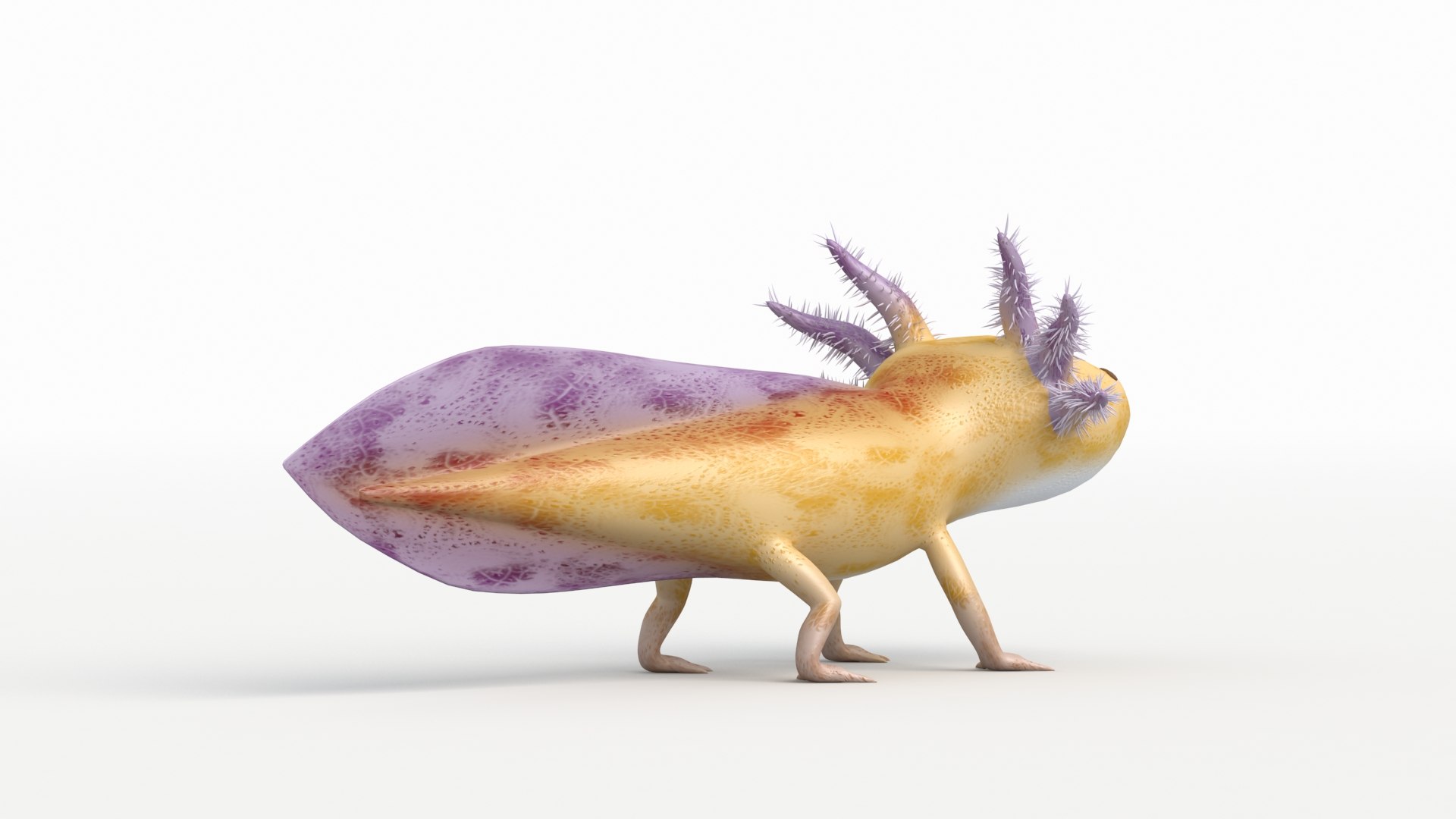 Axolotl Model - TurboSquid 1875255