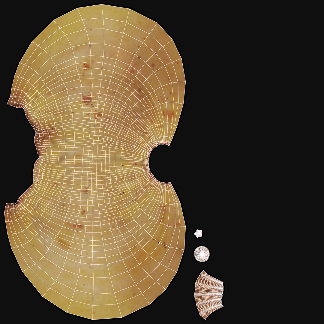 Pumpkin 06 3D - TurboSquid 1789564